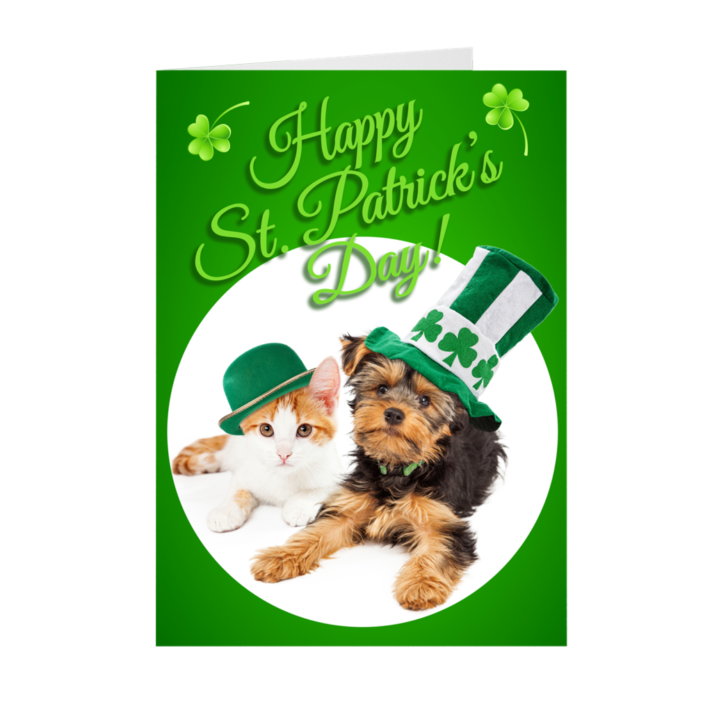 Cat and Dog - Animals - St. Patrick's Day Greeting Card – Black Stationery
