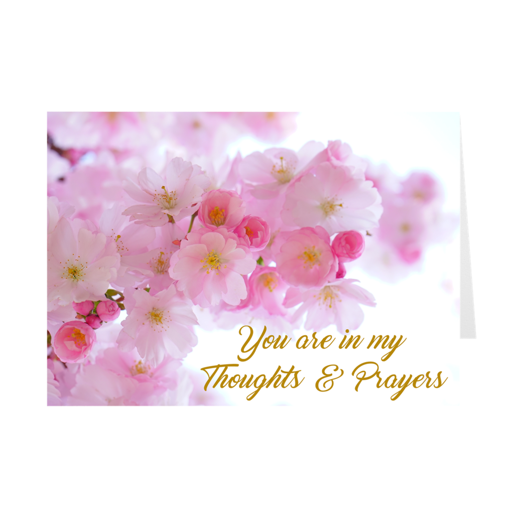 You Are In My Thoughts & Prayers - Sympathy Greeting Card – Black ...